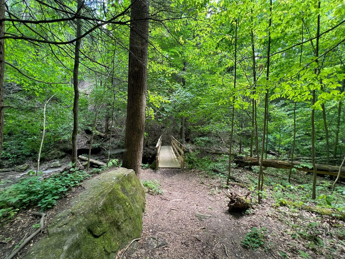 Coonskin Park | Kanawha County Parks and Recreation Commission